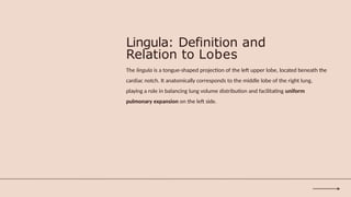 Thorax Lung Lobes and fissures | PPTX