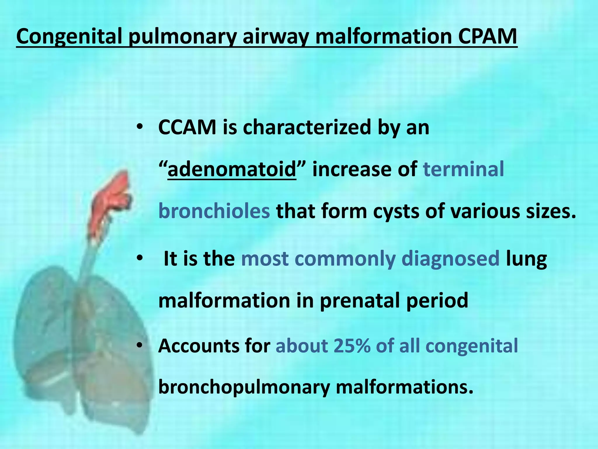 Lung malformation part 1 | PPTX