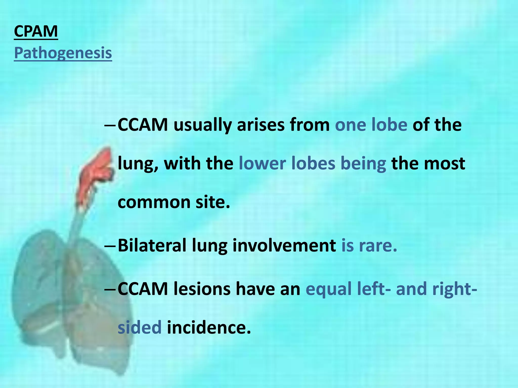 Lung malformation part 1 | PPTX