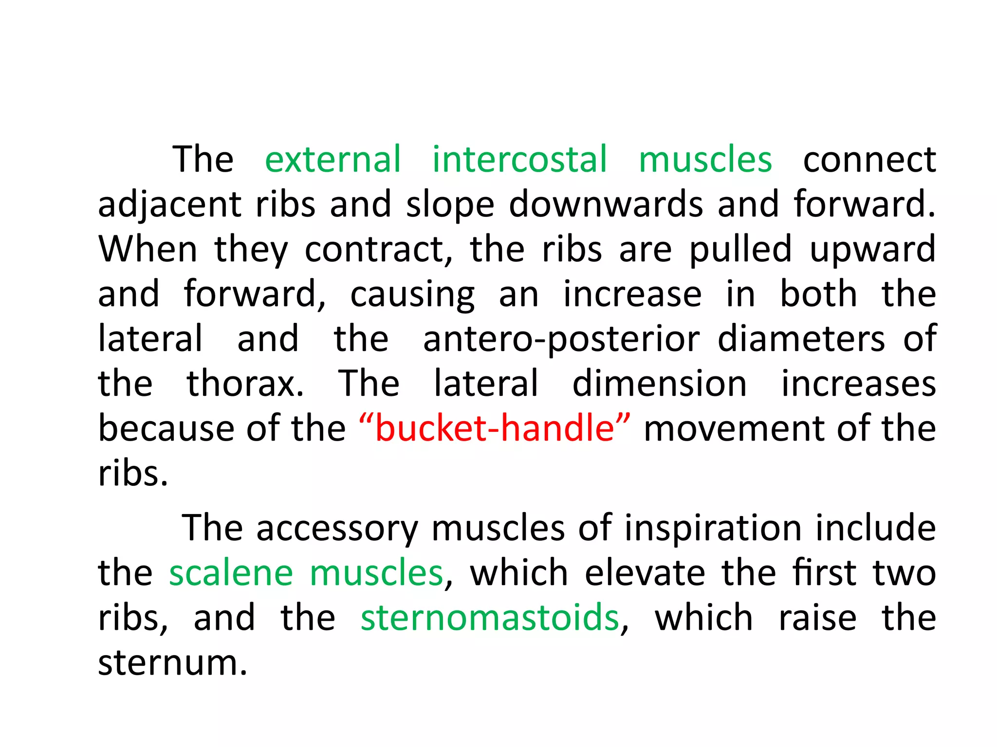 Lung mechanics | PPTX
