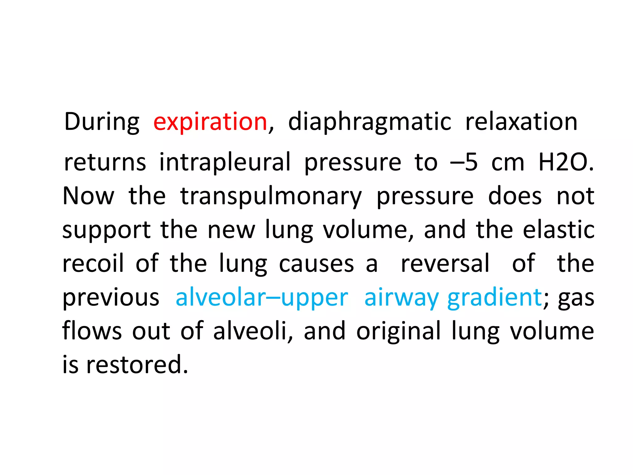 Lung mechanics | PPTX
