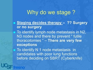 Echoendoscopic Lymph Node Staging in Lung Cancer: An endoscopic ...