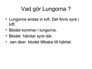 Lungorna | PPT