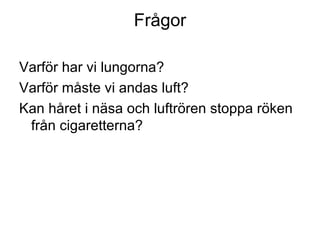 Lungorna | PPT