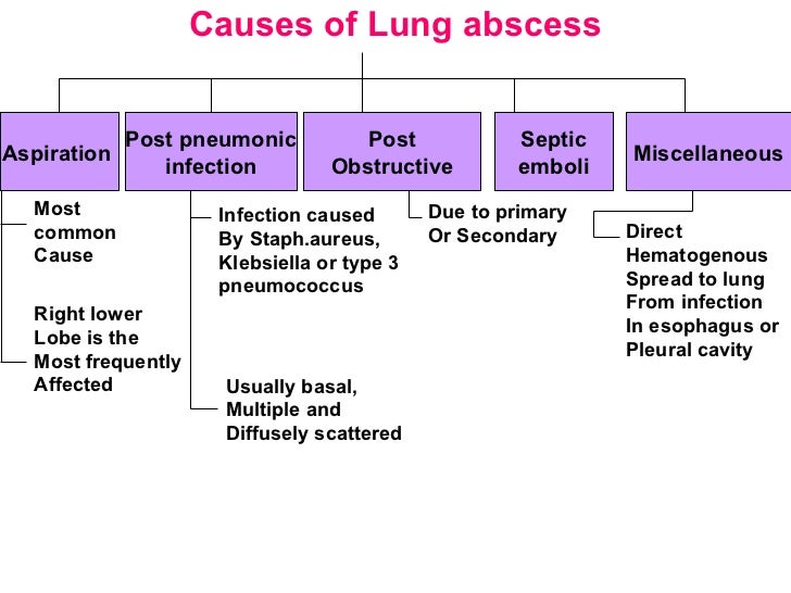 Lung pathology 1