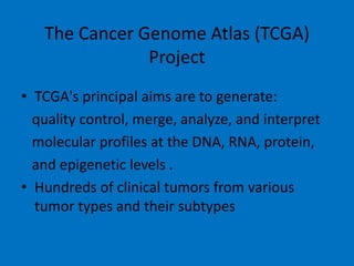 Lung pathology | PPT