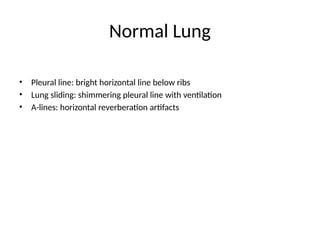 Basic Lung ultrasound pocus without image | PPTX