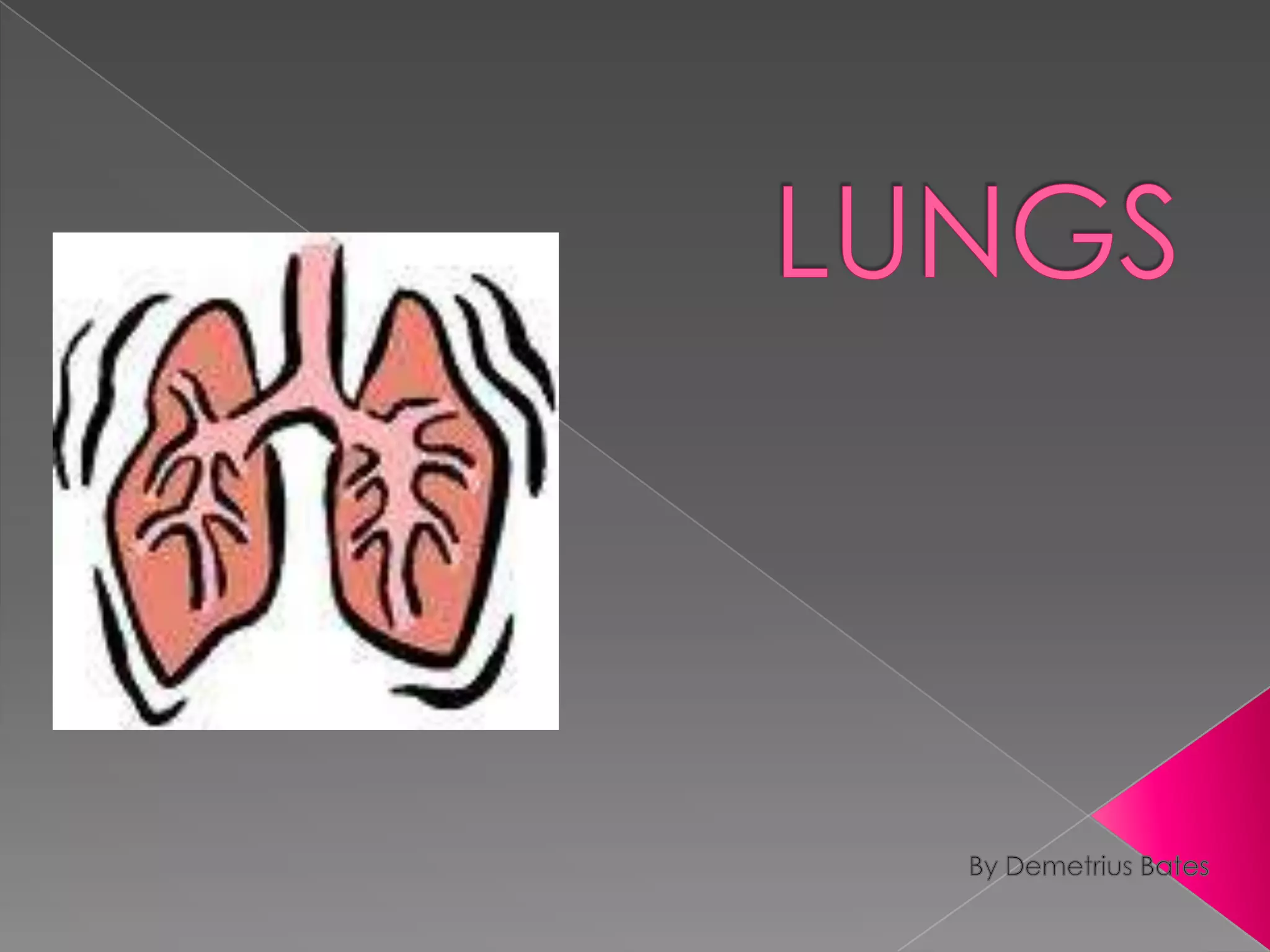 Lung presentation 2 | PPTX