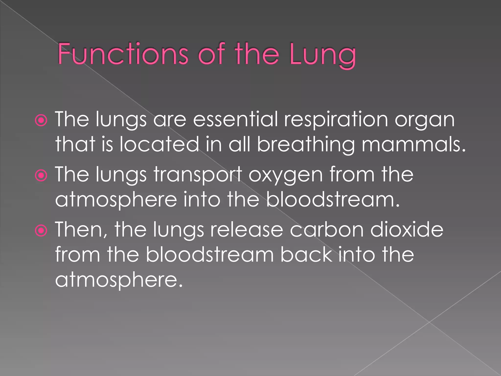 Lung presentation 2 | PPTX
