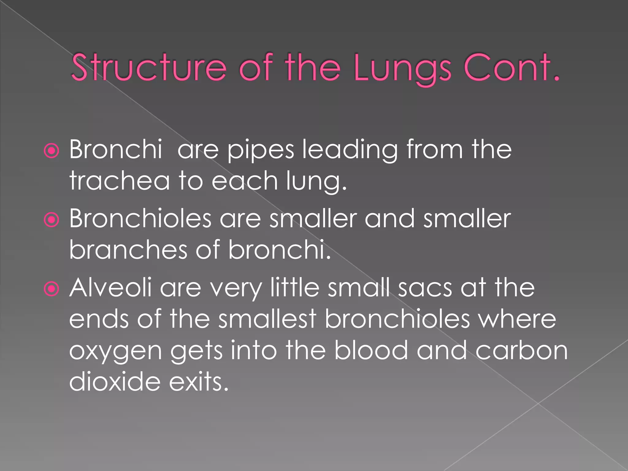 Lung presentation 2 | PPTX