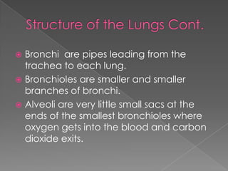 Lung presentation 2 | PPTX