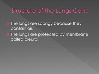 Lung presentation 2 | PPTX