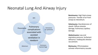 Lung protective strategies in newborn | PPTX
