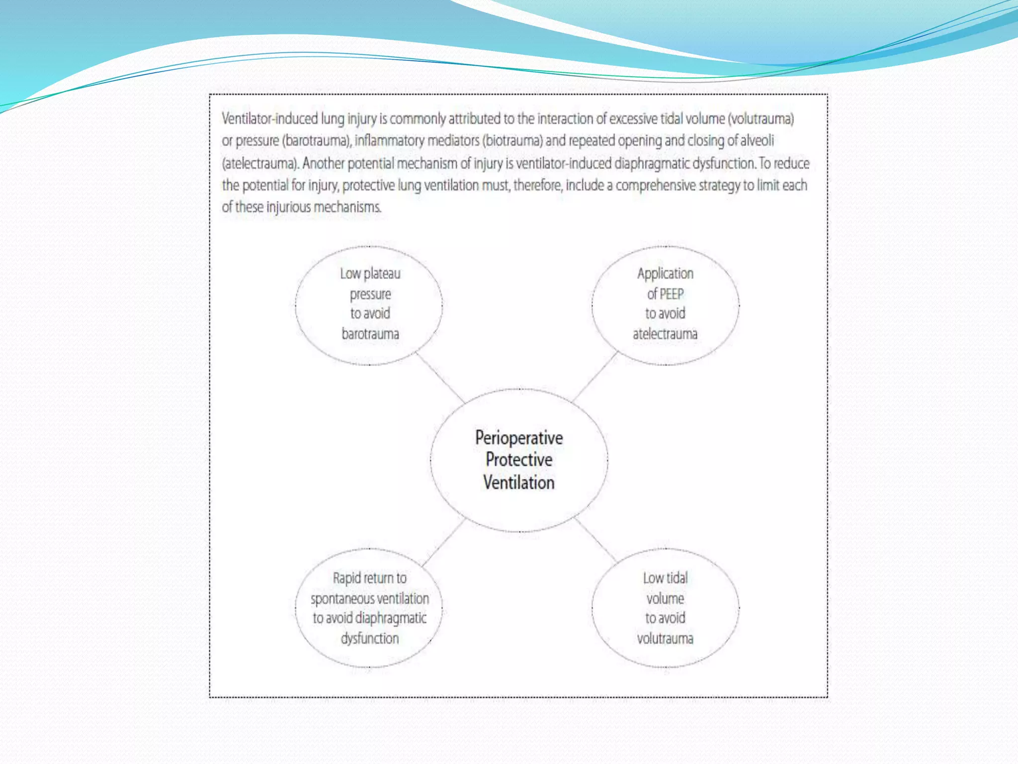 Lung Protective Ventilation | PPTX