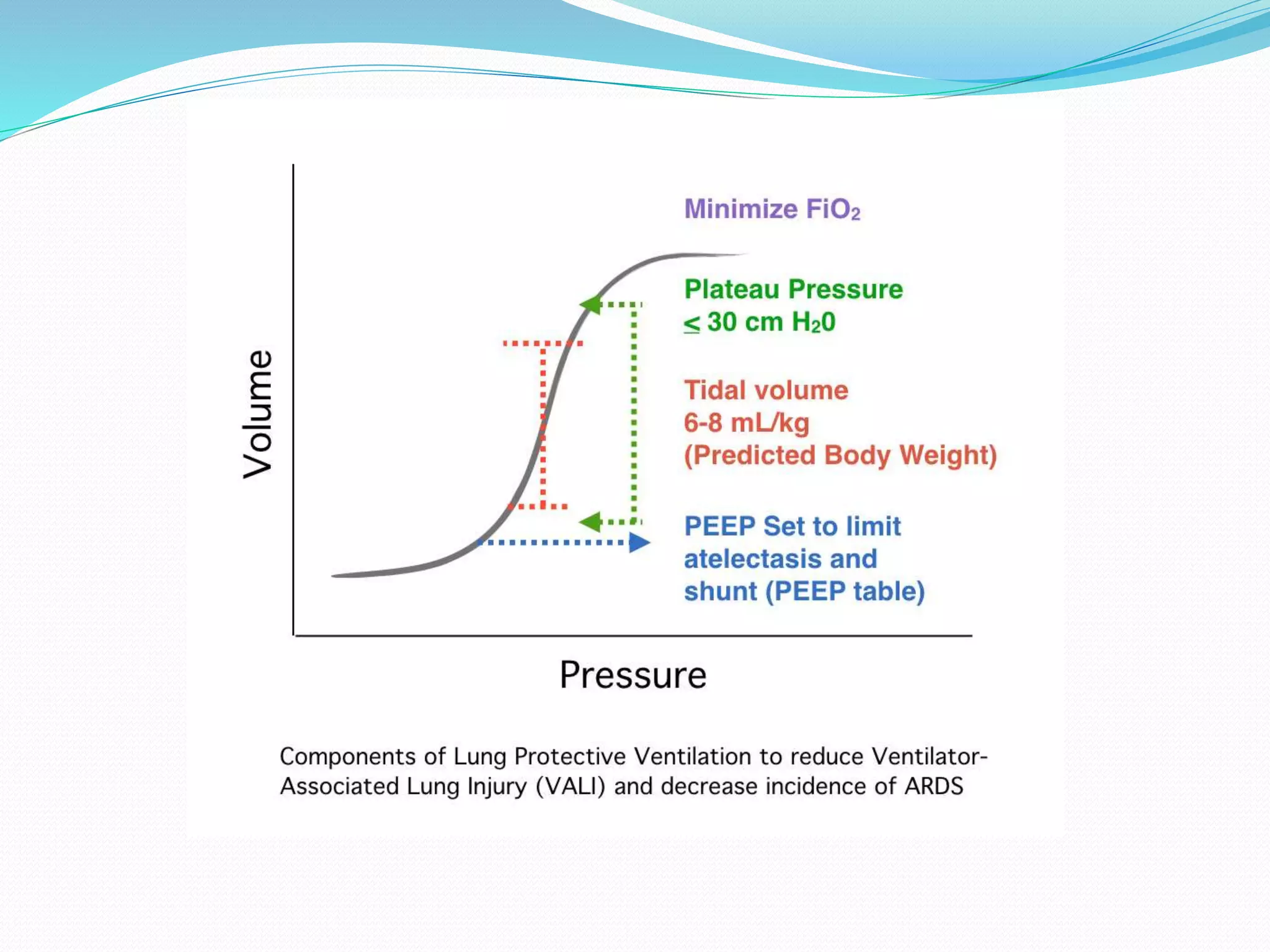 Lung Protective Ventilation | PPTX
