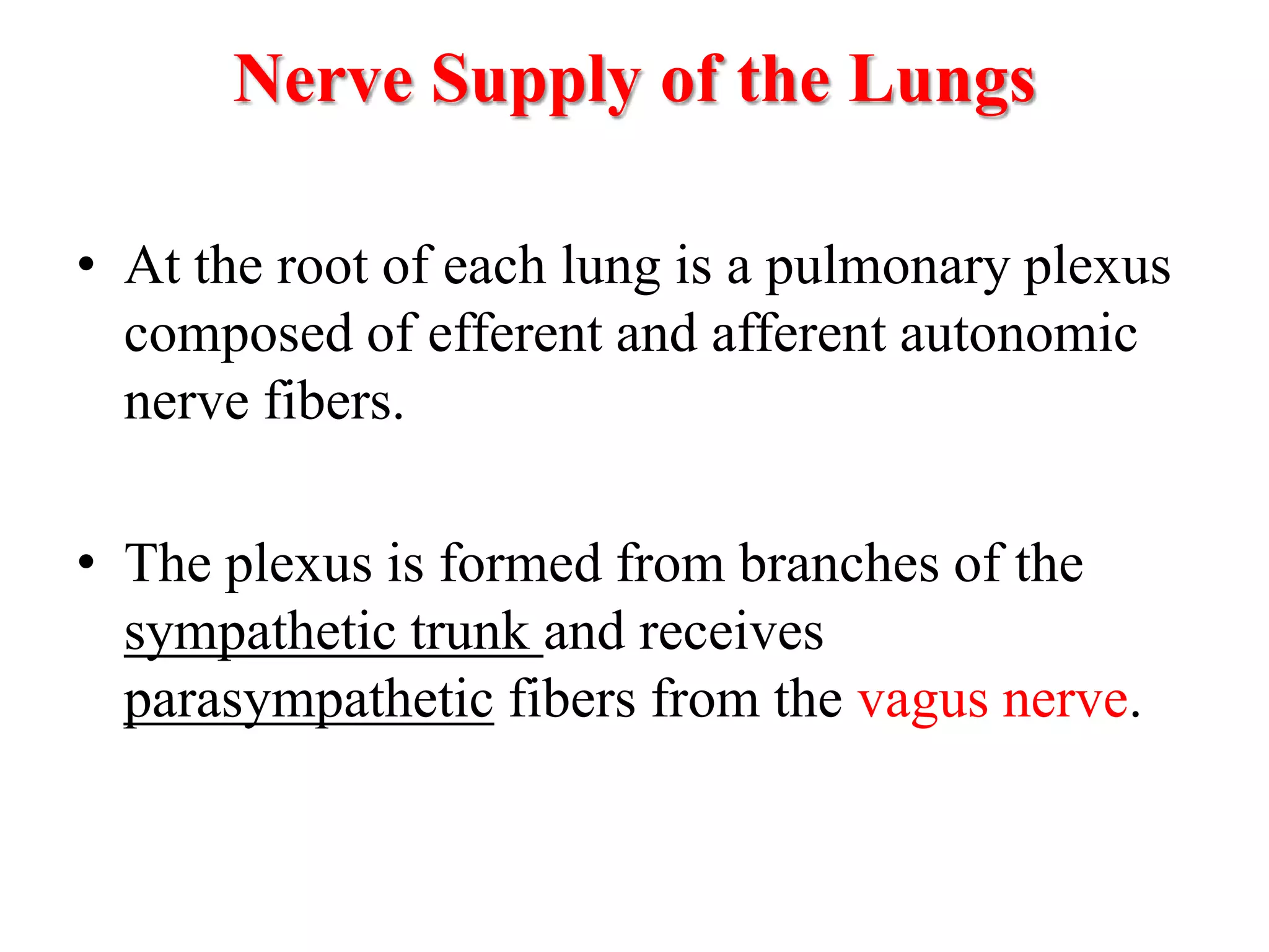 Lungs | PPTX