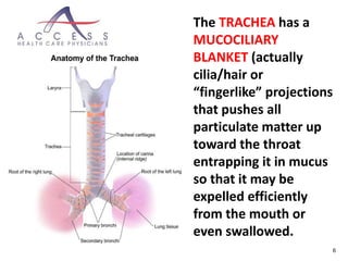 Lungs | PPTX | Lung and Respiratory Health | Diseases and Conditions