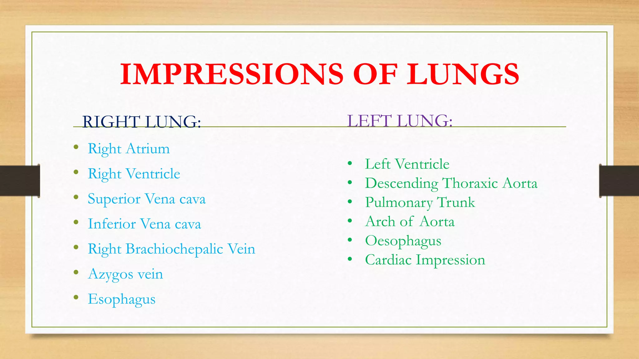 Anatomy of Lungs | PPTX