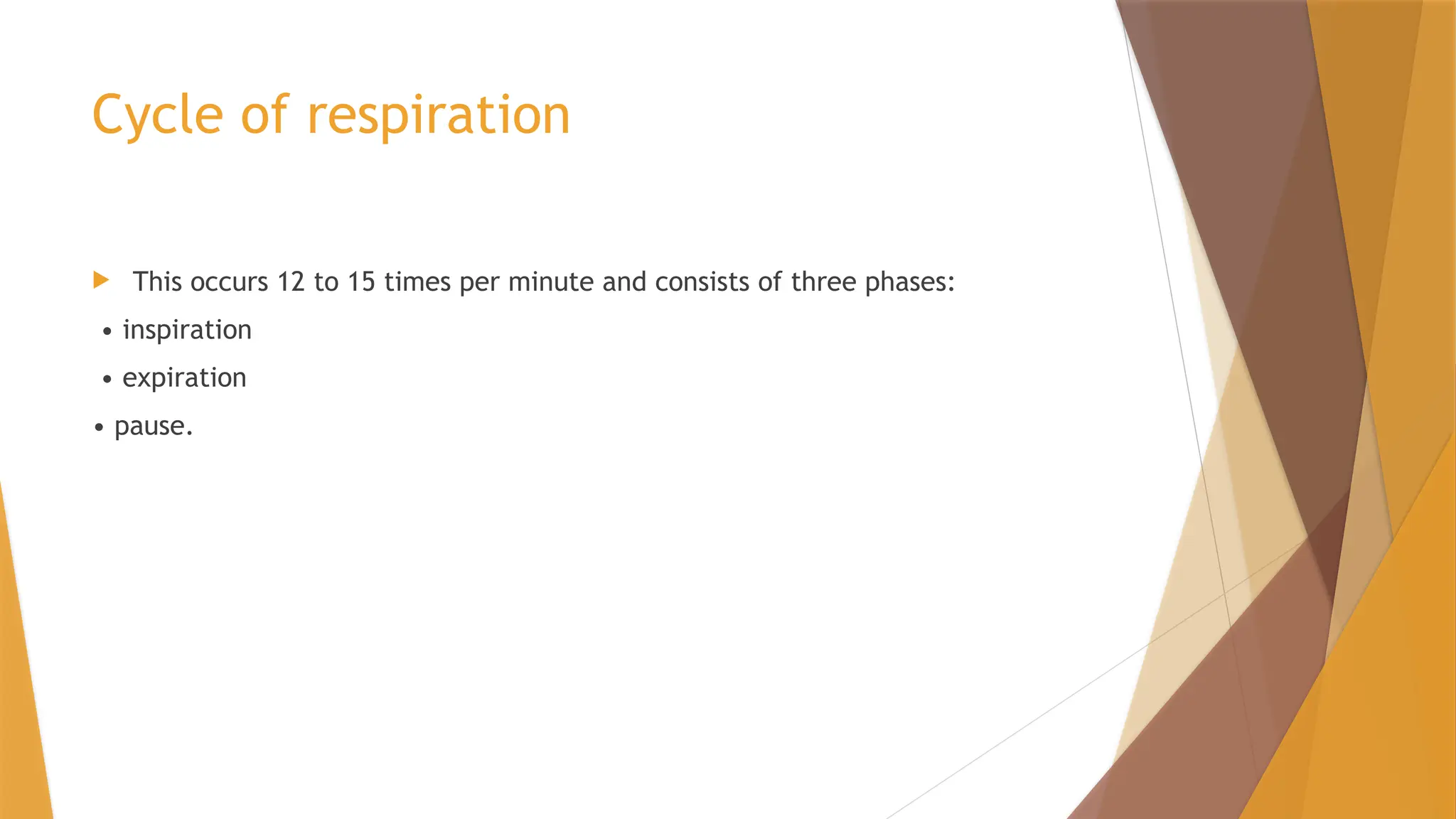LUNGS, repiratory system, breathing and respiration | PPTX
