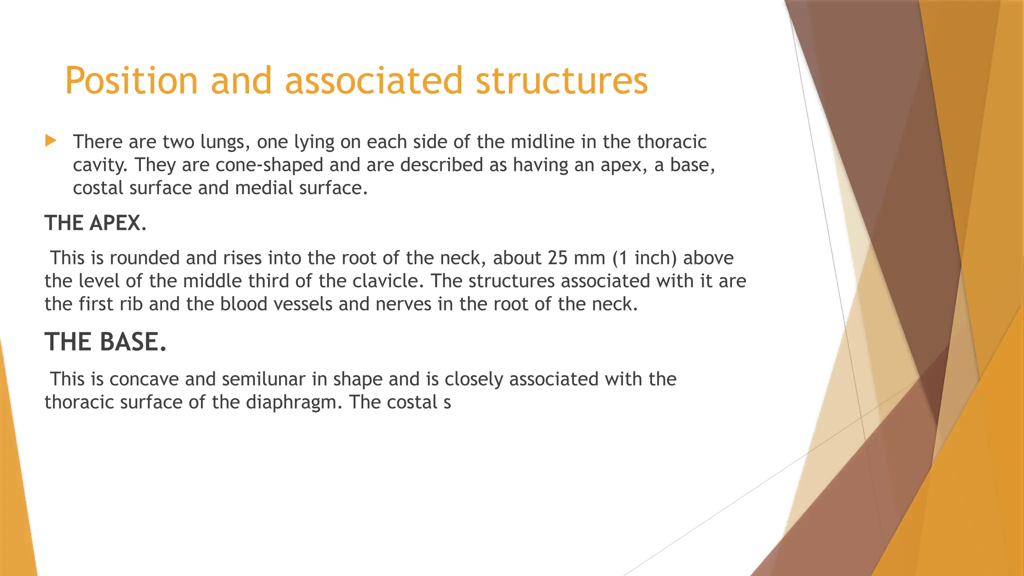 LUNGS, repiratory system, breathing and respiration | PPTX