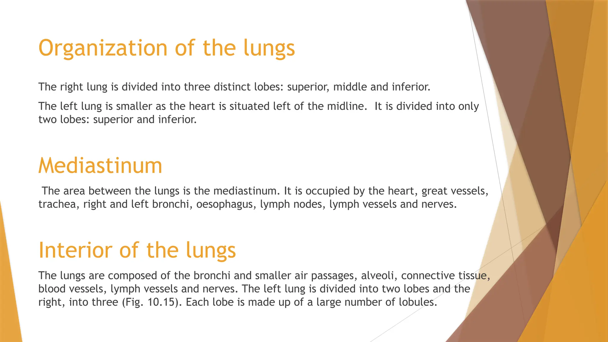 LUNGS, repiratory system, breathing and respiration | PPTX