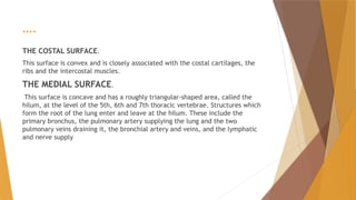 LUNGS, repiratory system, breathing and respiration | PPTX