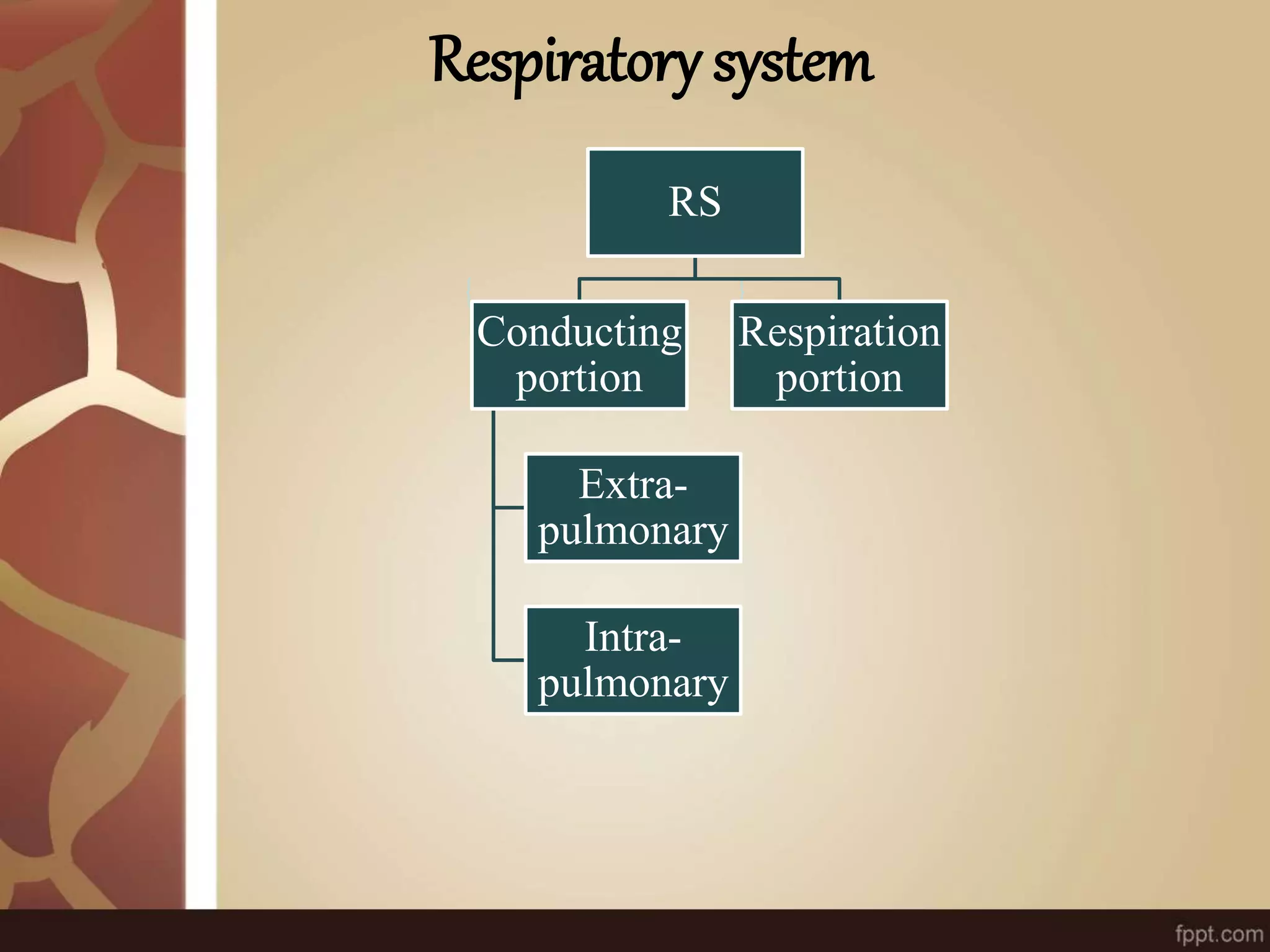 Lungs -Histology | PPTX