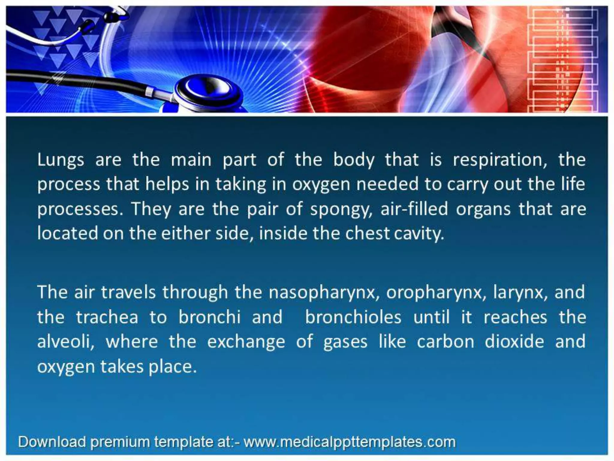 Lungs PowerPoint Template | PPT
