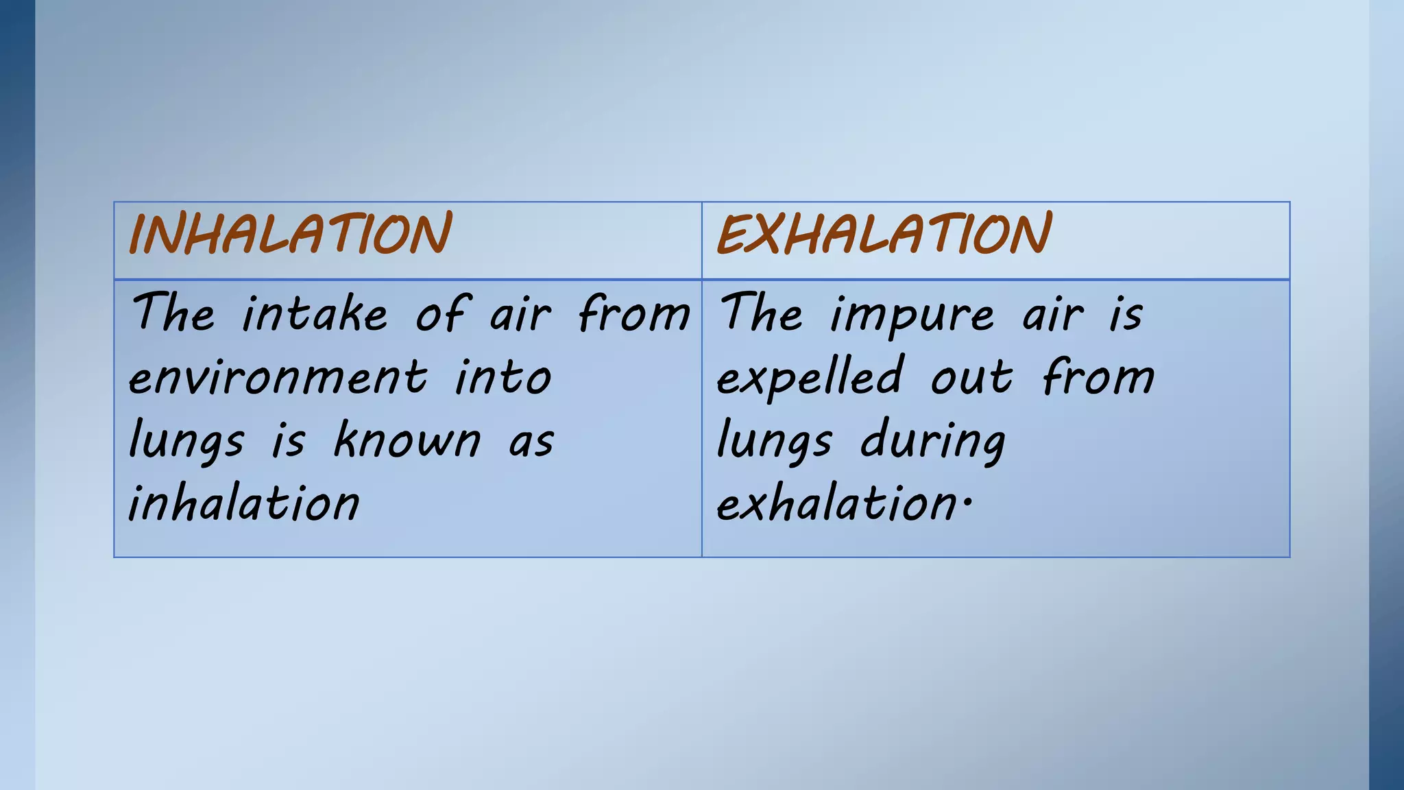 The Lungs mechanism of inhalation and exhalation | PPTX