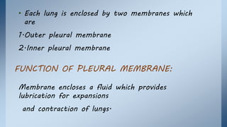 The Lungs mechanism of inhalation and exhalation | PPTX