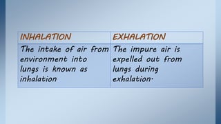 The Lungs mechanism of inhalation and exhalation | PPTX