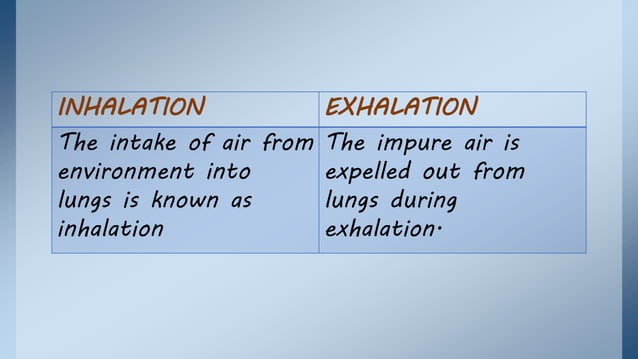 The Lungs mechanism of inhalation and exhalation | PPTX