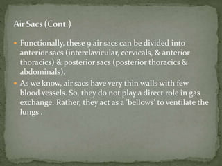 Lungs and Air Sacs in Birds | PPTX