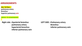LUNGS ANATOMY AND ITS CLINICAL ASPECTS.pptx