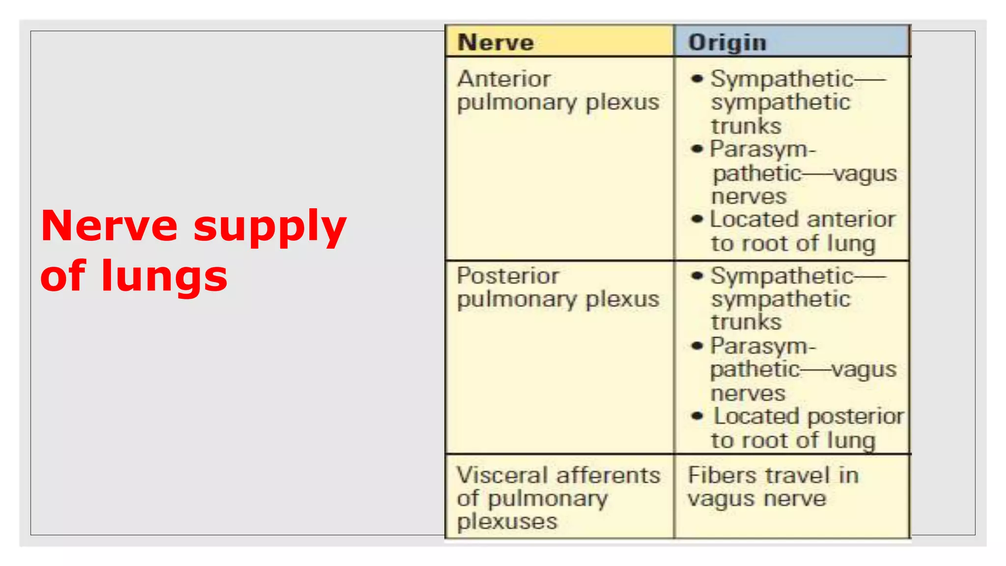 Lungs and Pleura.pptx