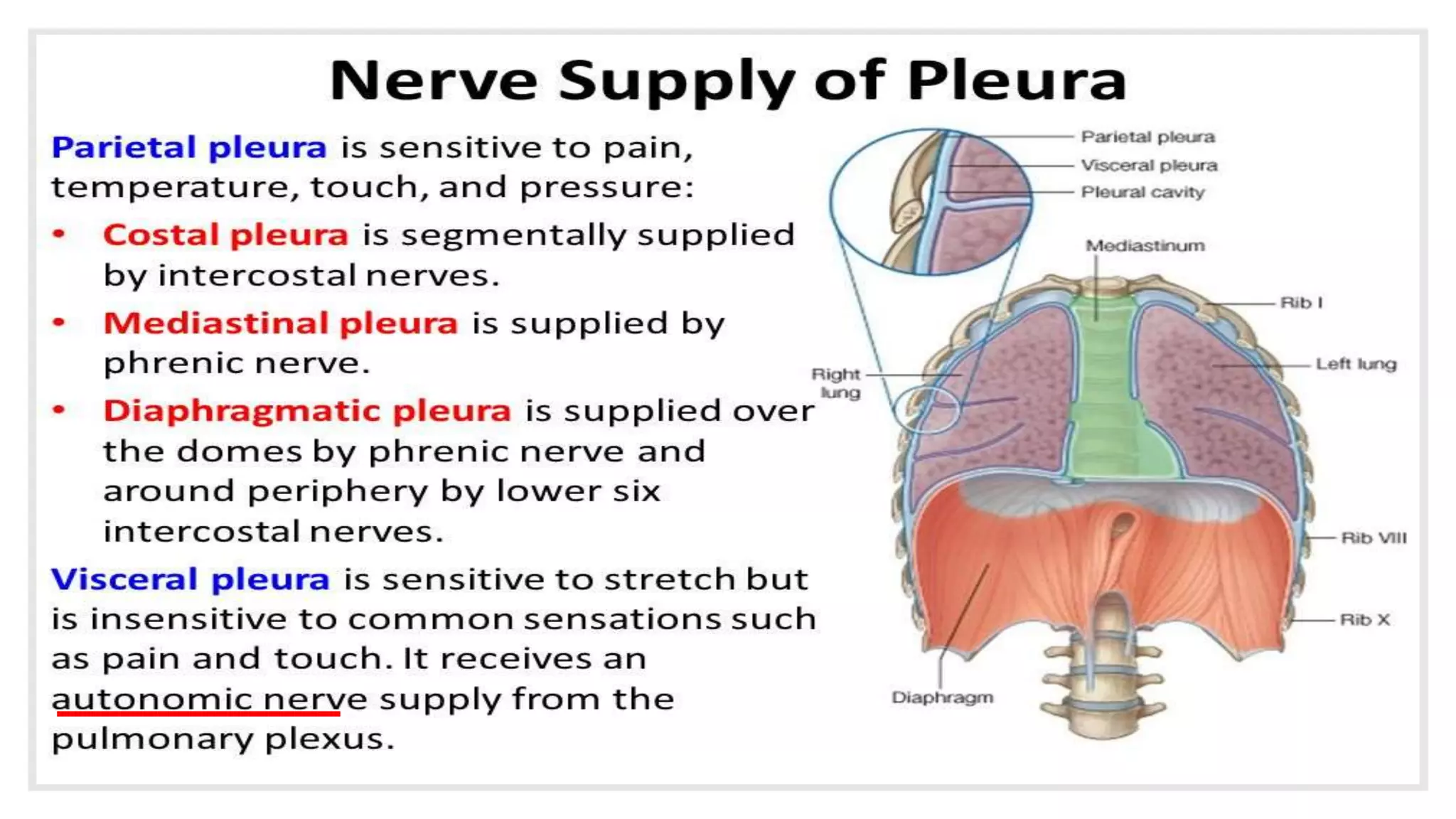 Lungs and Pleura.pptx