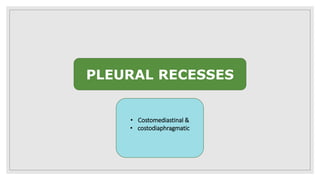 Lungs and Pleura.pptx