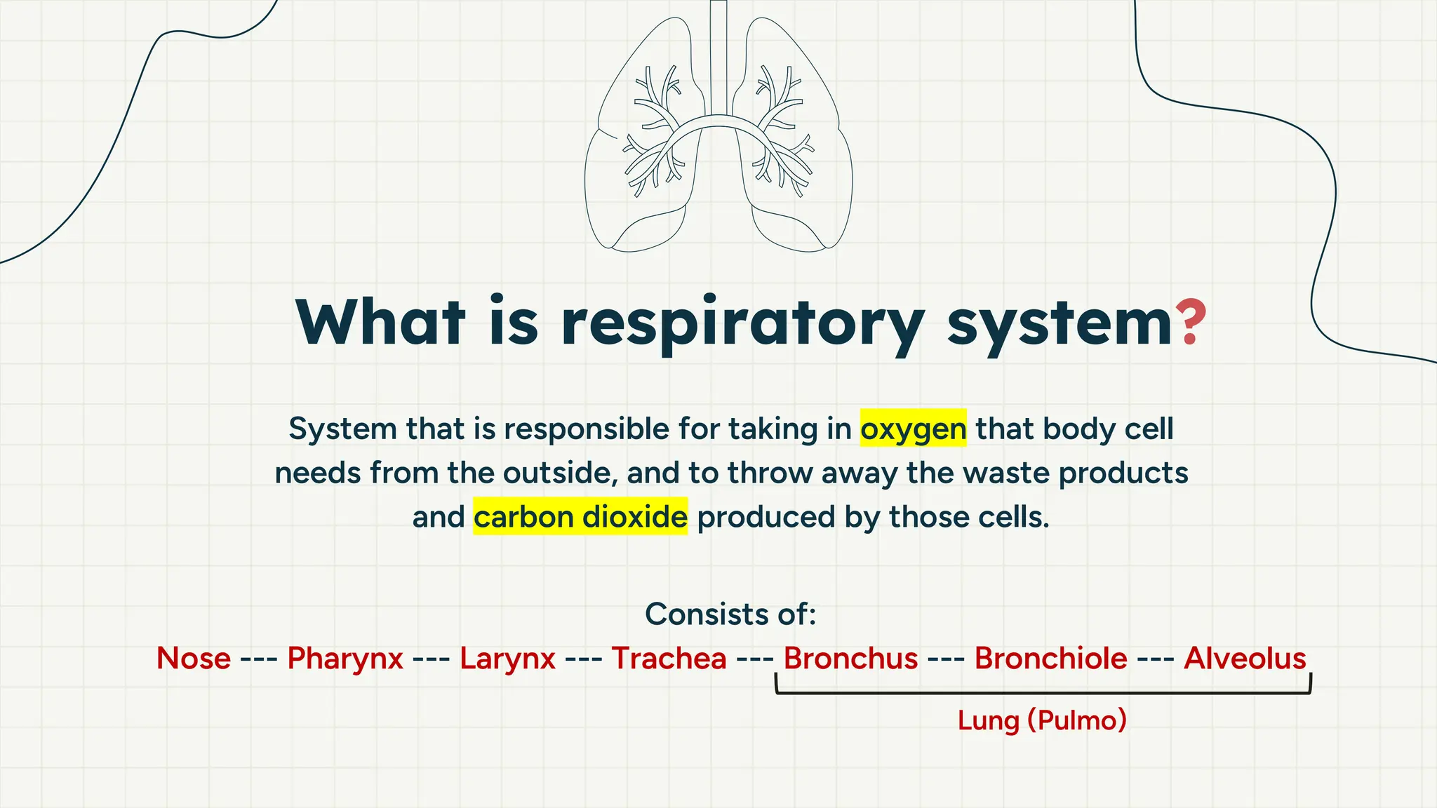 Lungs and Respiratory System for Lower Secondary Grade 7 | PPTX