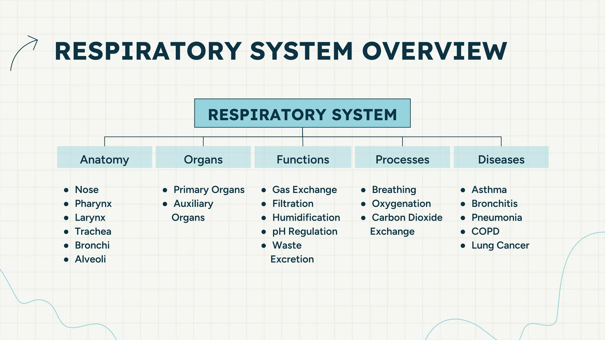 Lungs and Respiratory System for Lower Secondary Grade 7 | PPTX