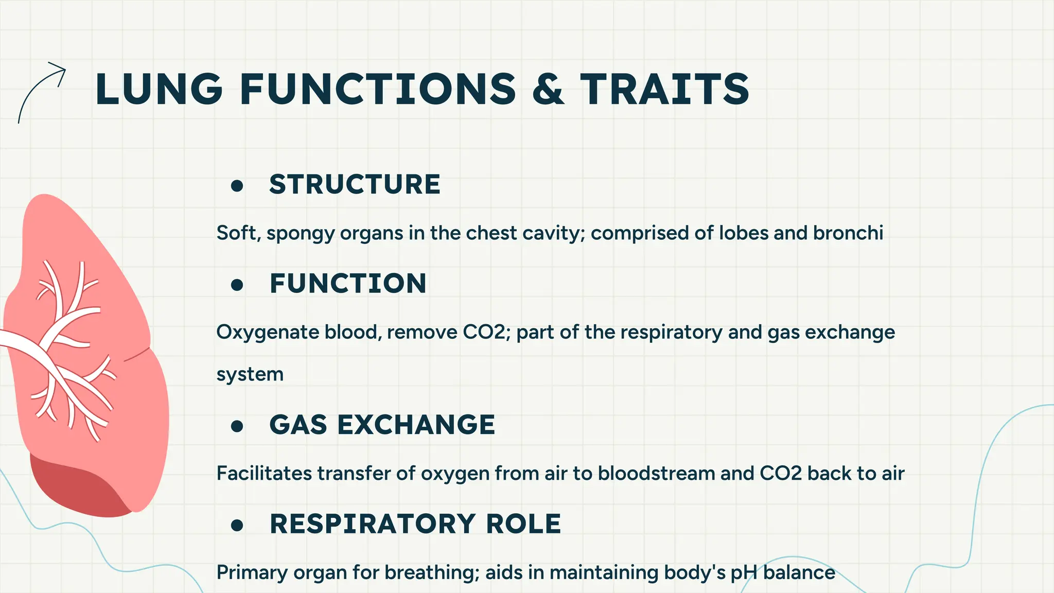 Lungs and Respiratory System for Lower Secondary Grade 7 | PPTX