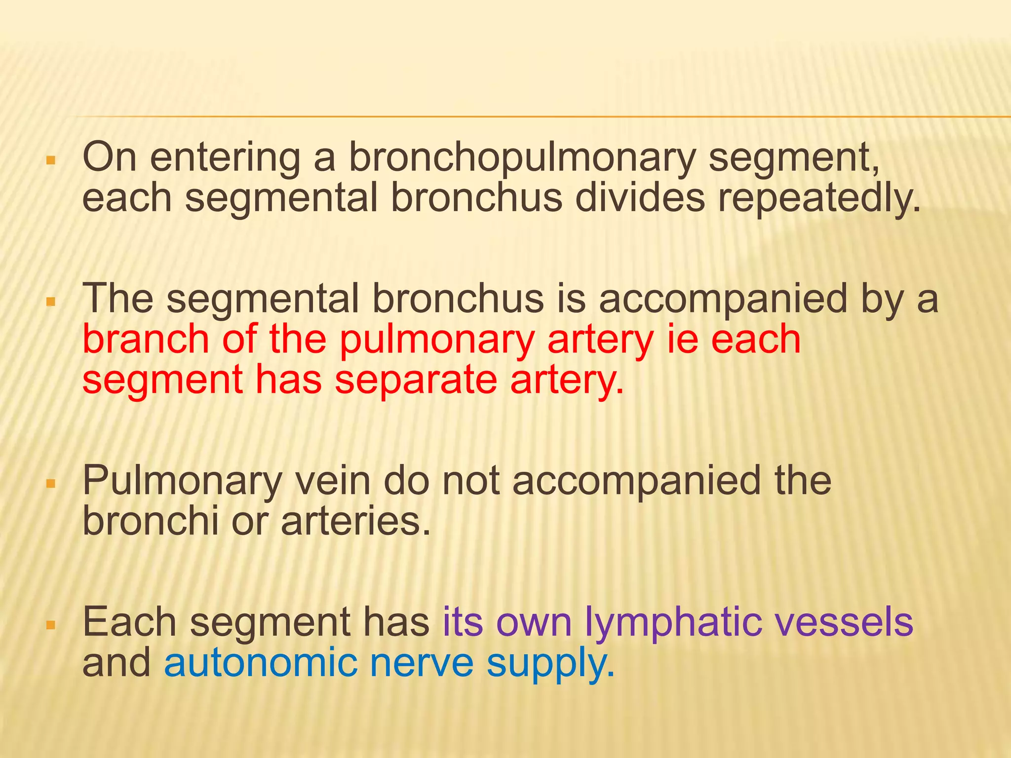 Lungs & bronchopulmonary segments | PPTX