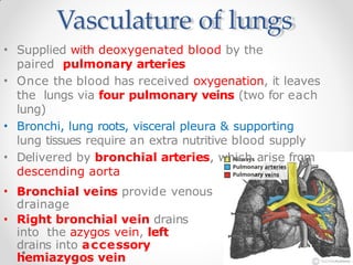 Lungs and clinical Correlations By Dr Rabia Inam Gandapore.pptx