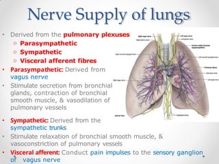 Lungs and clinical Correlations By Dr Rabia Inam Gandapore.pptx