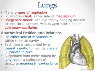 Lungs and clinical Correlations By Dr Rabia Inam Gandapore.pptx