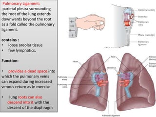 Lungs,Pleura & Tracheo-bronchial Tree | PPTX