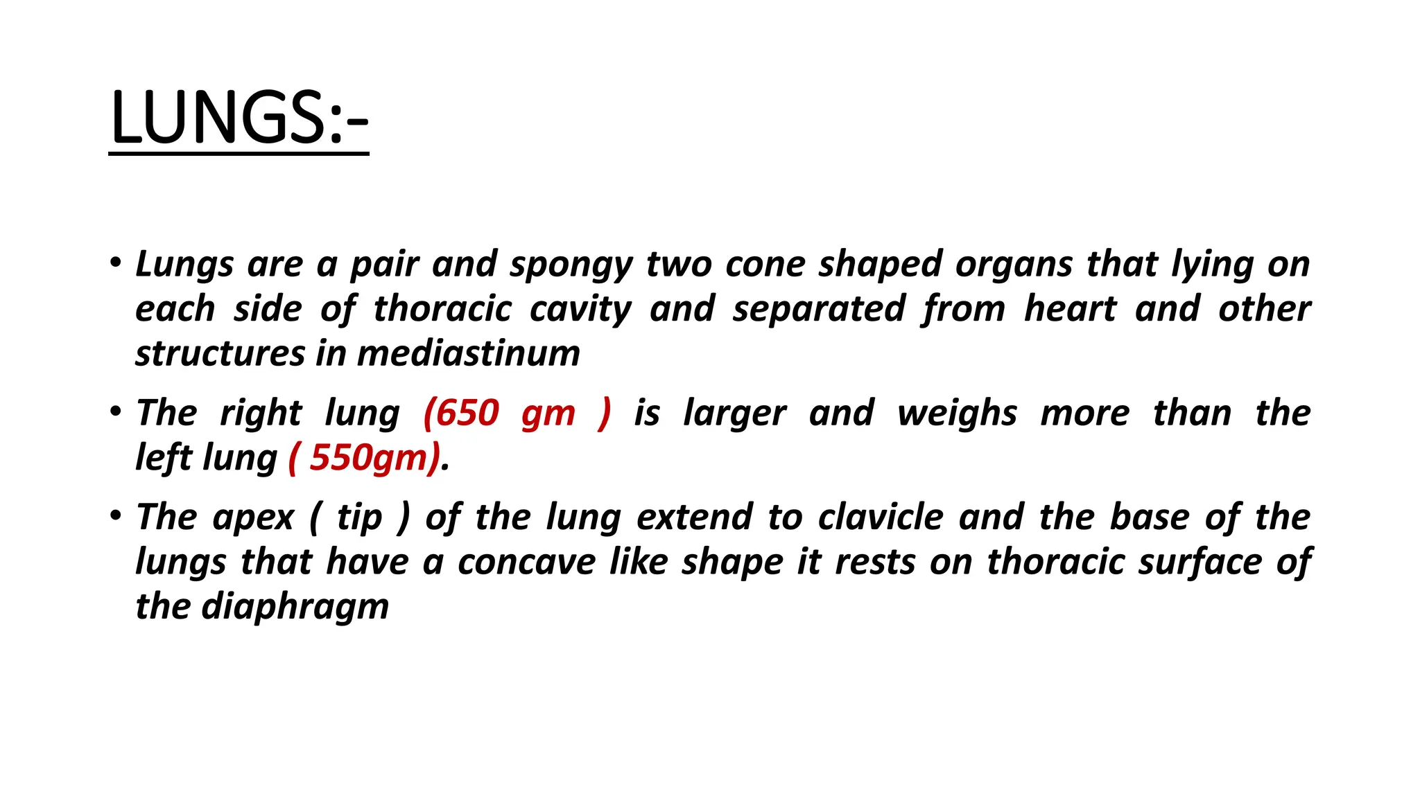 LUNGS PPT BY MR. DARSHIL MODH.pptx