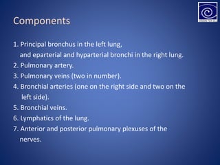 Lung: Anatomy and physiology by Pradumn .pptx | Lung and Respiratory ...