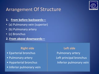 Lung: Anatomy and physiology by Pradumn .pptx