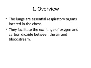 Lungs presentation with short and simple explanation | PPTX