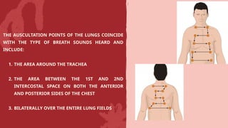 lungsPRESENTATION definition, sounds types | PPTX